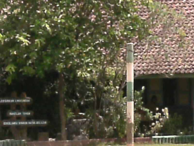 SMAN 1 CIOMAS - annibuku.com