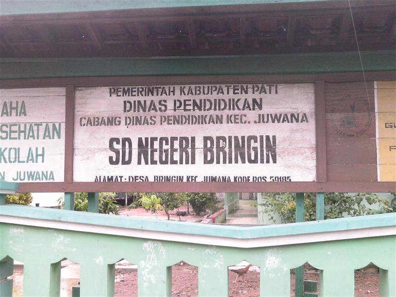 SD NEGERI BRINGIN - annibuku.com