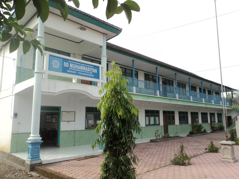 SD MUHAMMADIYAH PROGRAM PLUS - annibuku.com